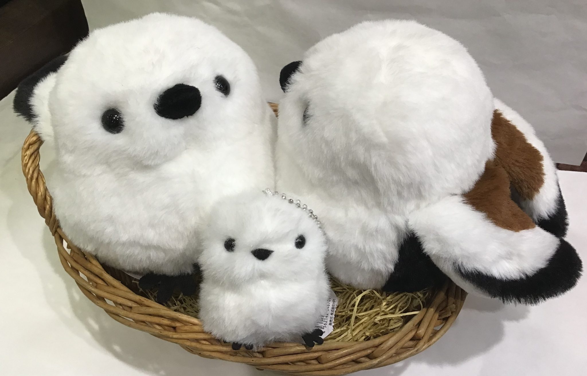 シマエナガグッズ販売 | 北海道フーディスト